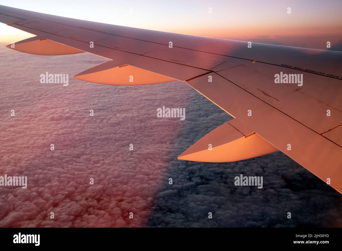 Airbus A220-300 wings in sunset lights flying above clouds somewhere ...