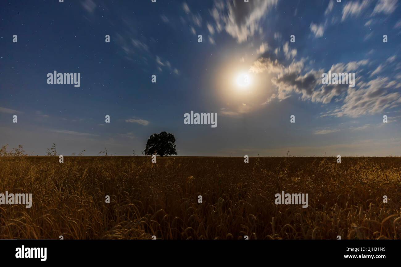Beautiful moonlit night over hi-res stock photography and images - Alamy