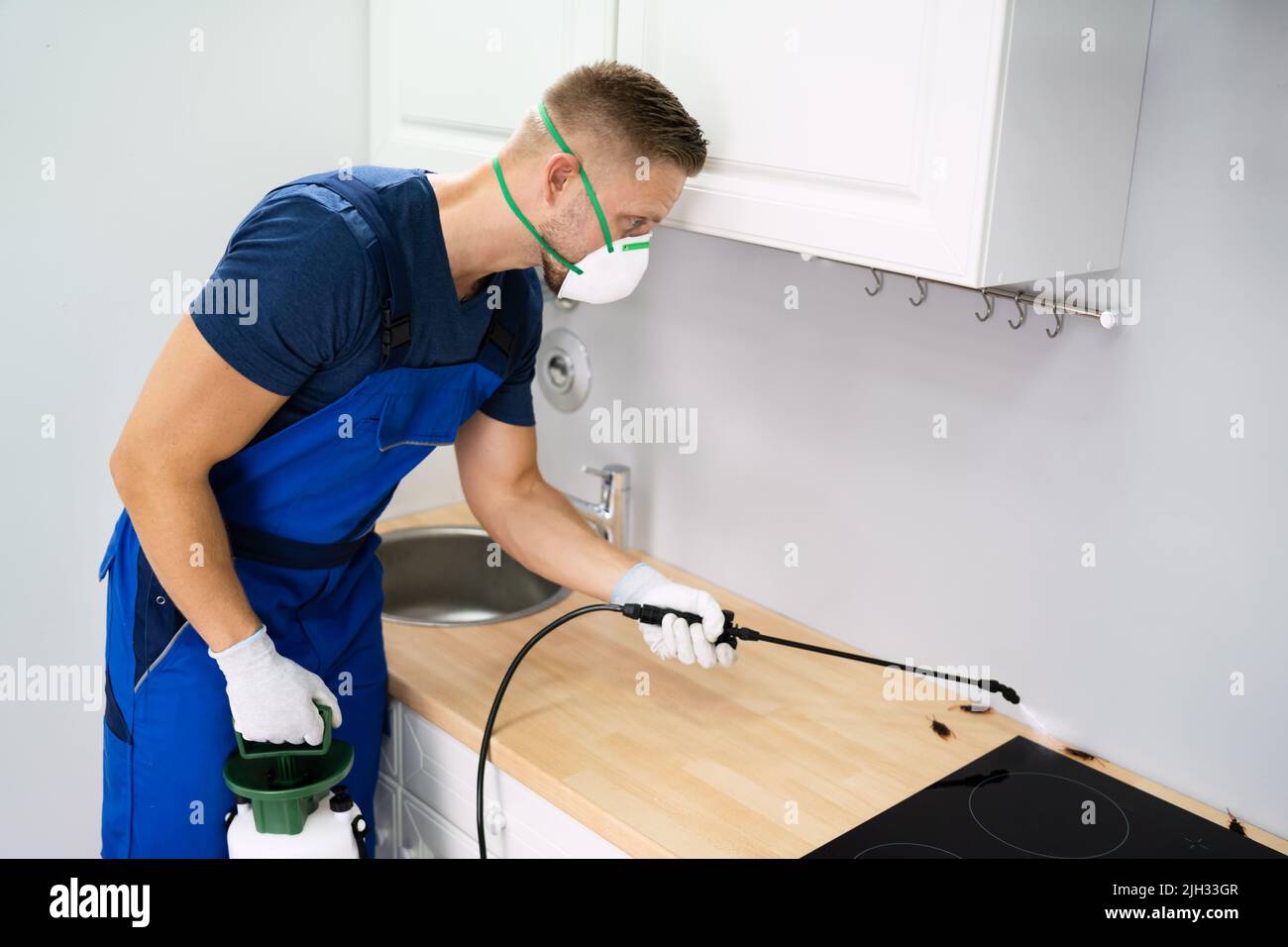 Pest Control Worker Spraying Insecticide In Domestic Kitchen Stock ...