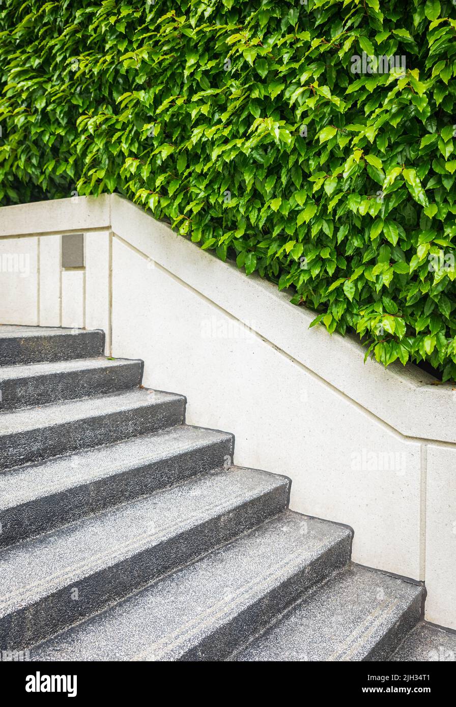 Abstract stairs in the city. Abstract steps, cement stairs,wIde stone ...