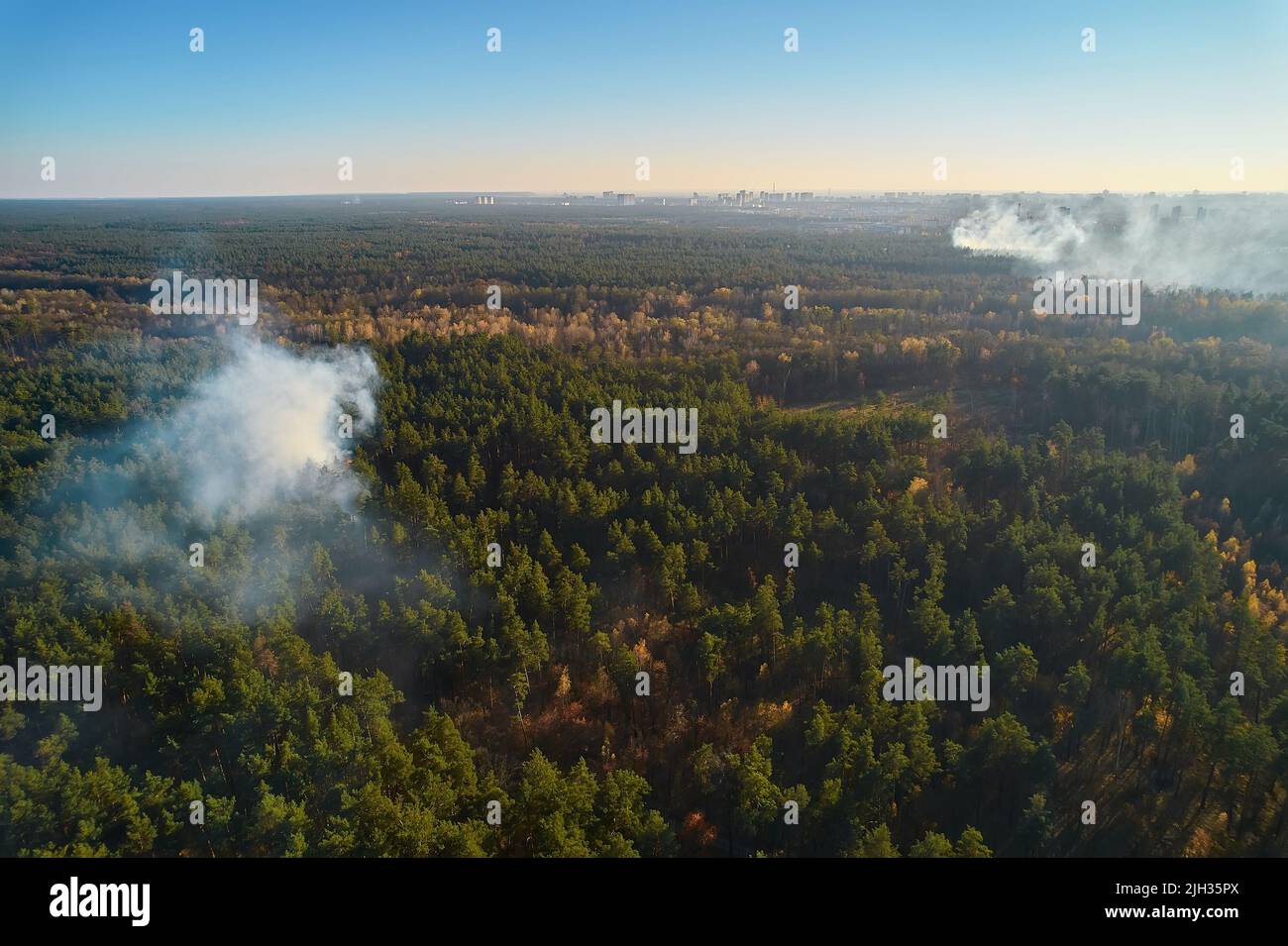 Burning forest with fire and smoke. Forest fire, aerial top view from ...