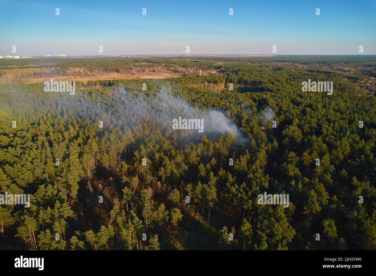 Strong fire in an empty forest. Fire spreads in a united front, strong ...