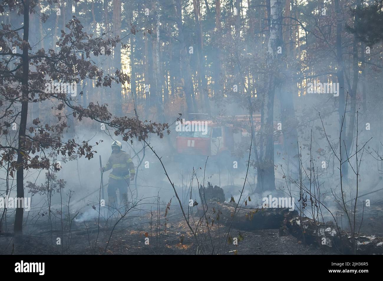 firefighters spray water to wildfire. Fireman working hard to put out ...