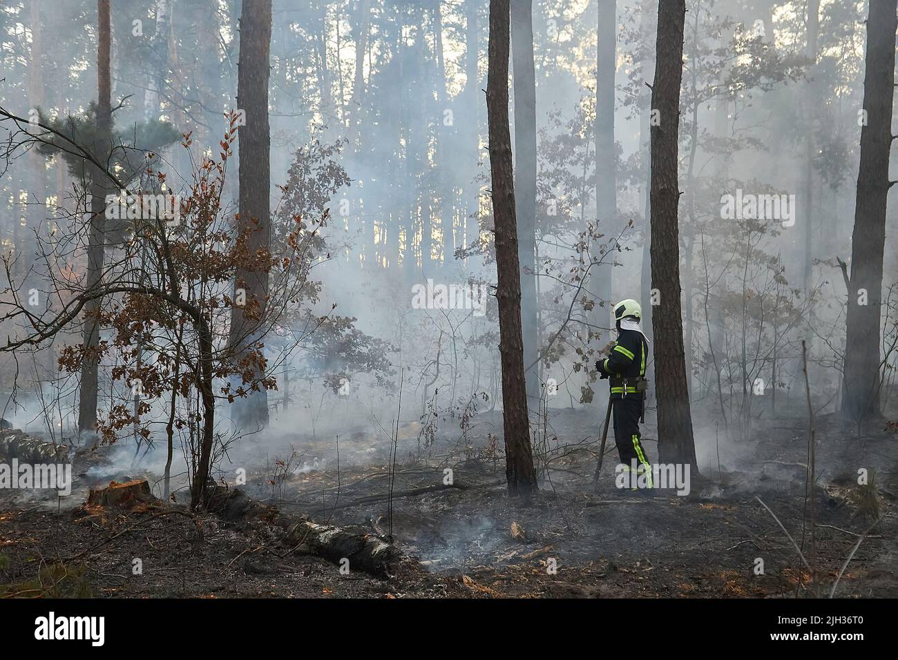 firefighters spray water to wildfire. Fireman working hard to put out ...