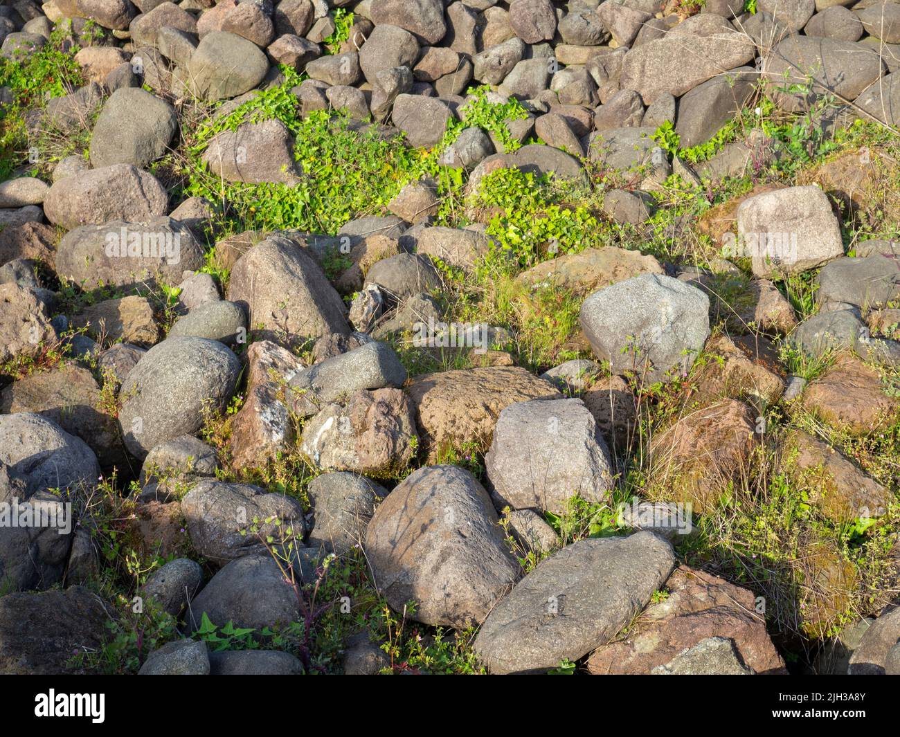 Remains of the old pavement. Ancient stonework. Lots of cobblestones on ...
