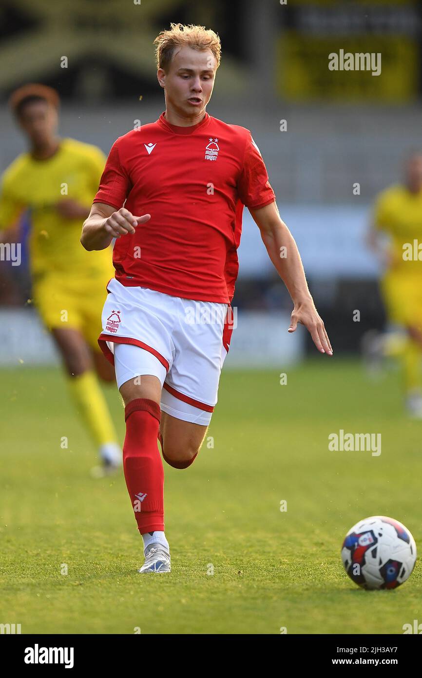 Fin back 2022 hi-res stock photography and images - Alamy