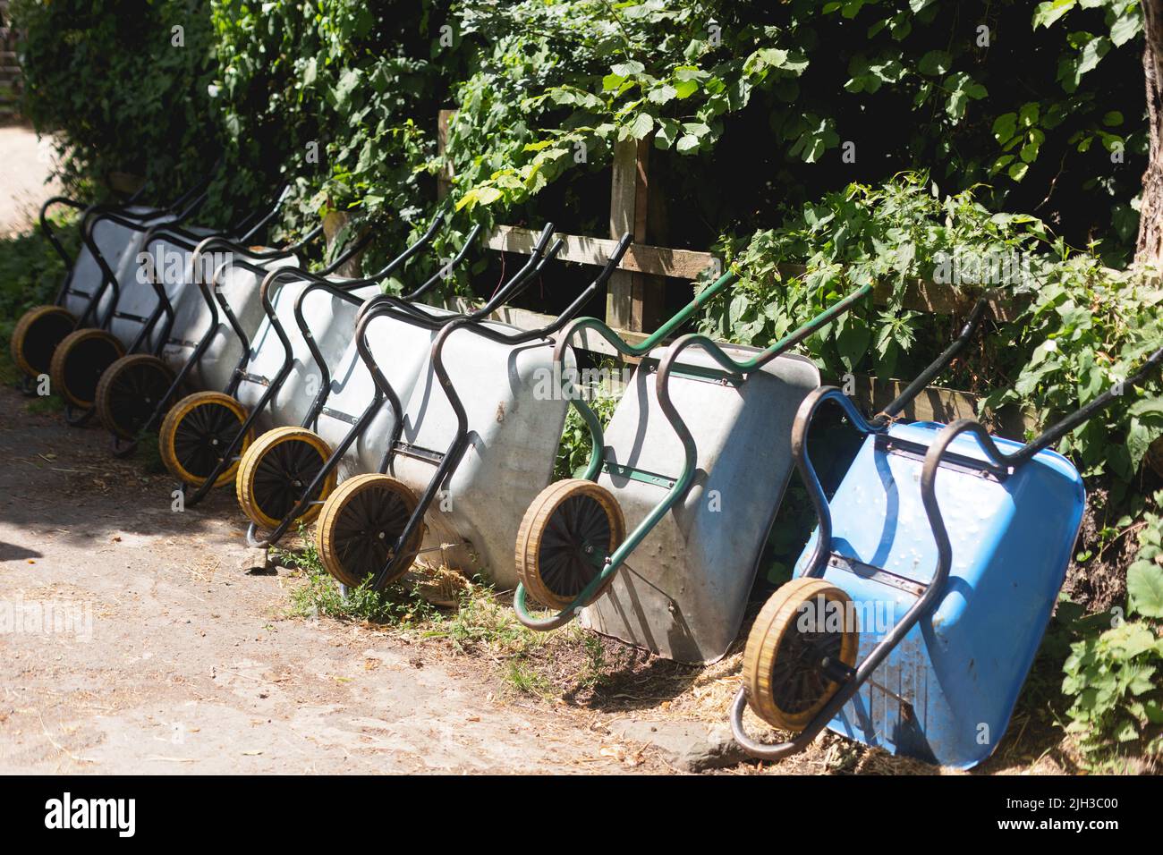 Photo of wheelbarrows in a row hi-res stock photography and images - Alamy