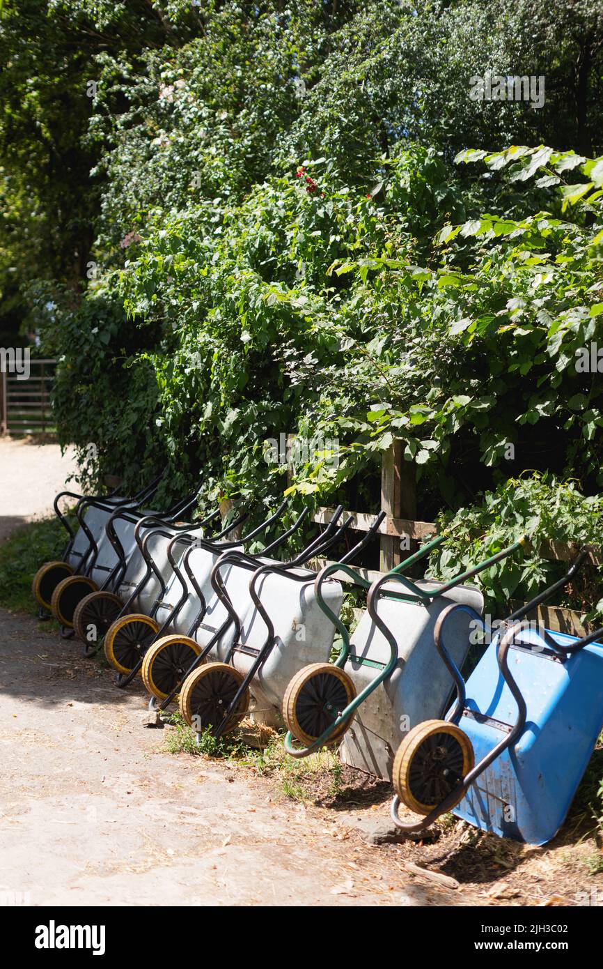 Photo of wheelbarrows in a row hi-res stock photography and images - Alamy