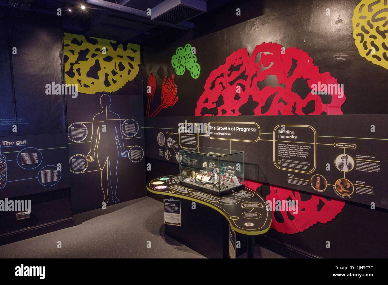 General view of a display (Disease Detectives) in the Thackray Museum ...