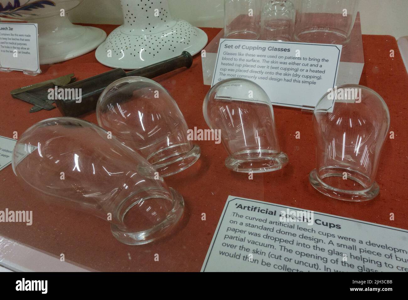 Curved leech cups hi-res stock photography and images - Alamy