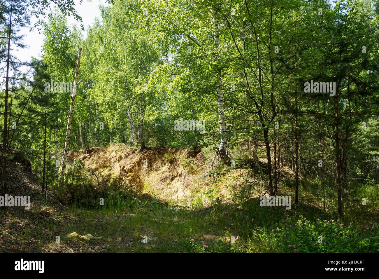 Backwoods people hi-res stock photography and images - Alamy