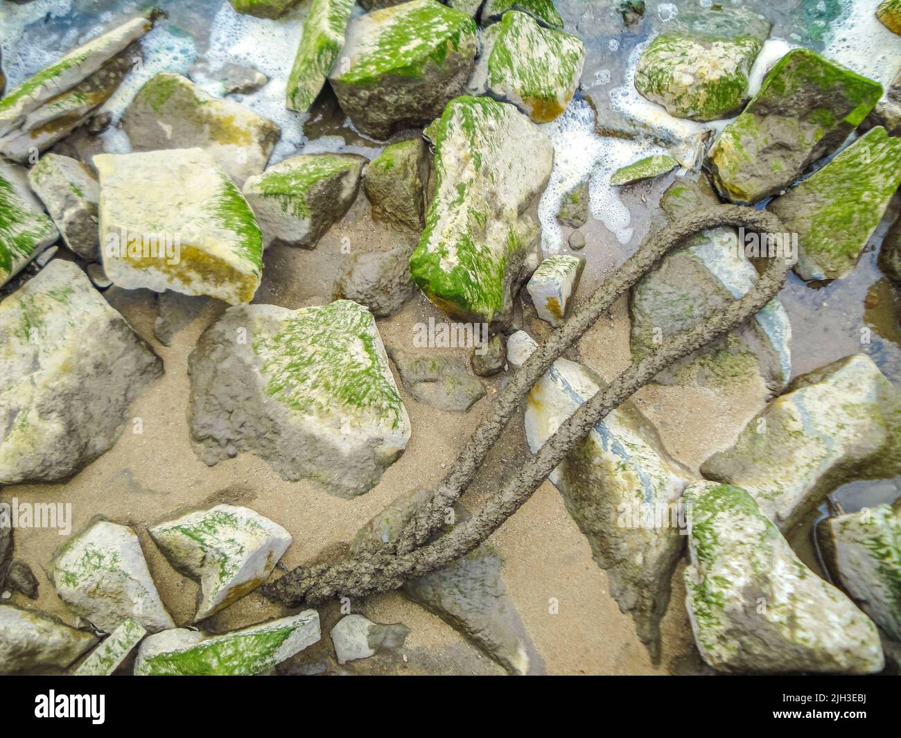 Beautiful wadden sea tidelands coast beach water stones rocks boulders ...