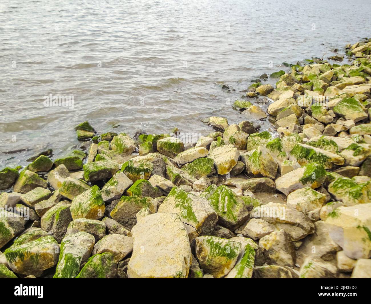 Harrier sand hi-res stock photography and images - Alamy