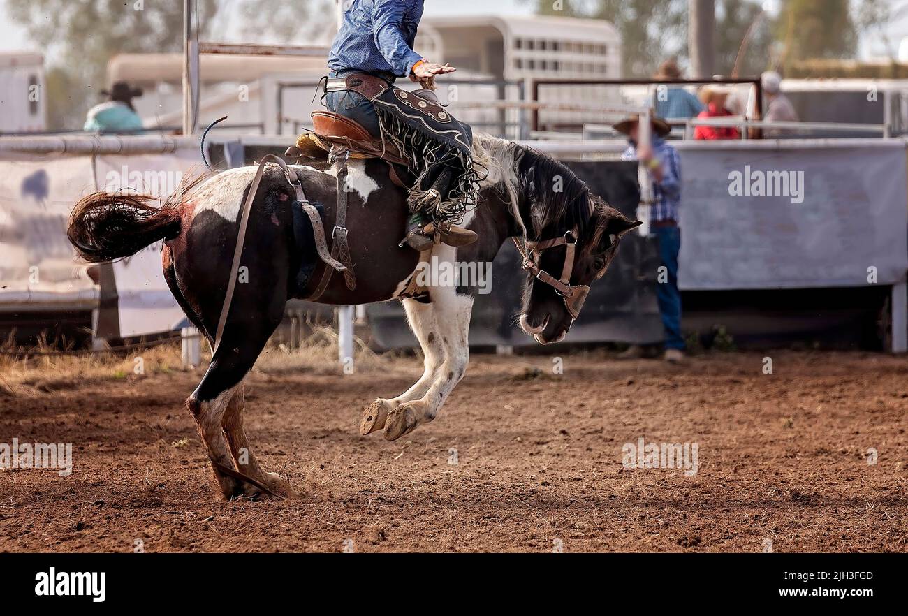 Cowboy riding a bucking bronc at a country rodeo Australia Stock Photo ...
