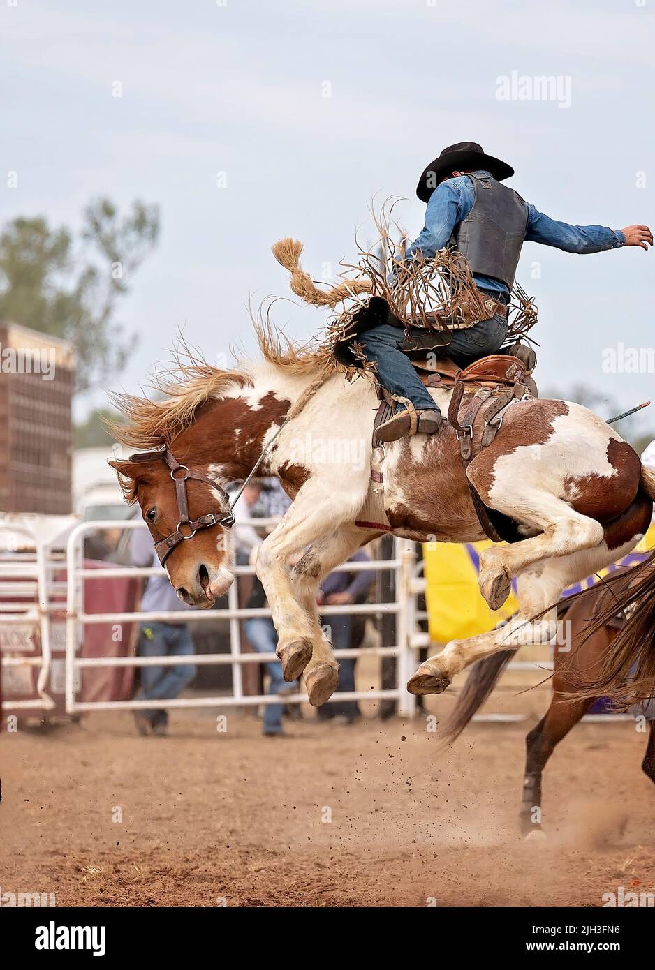 Cowboy riding a bucking bronc at a country rodeo Australia Stock Photo ...