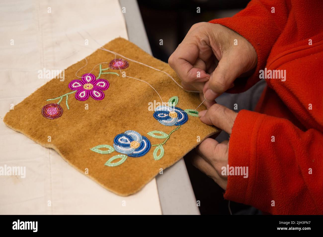 Woman beading flowers on traditionally tanned moosehide, a typical Dene ...