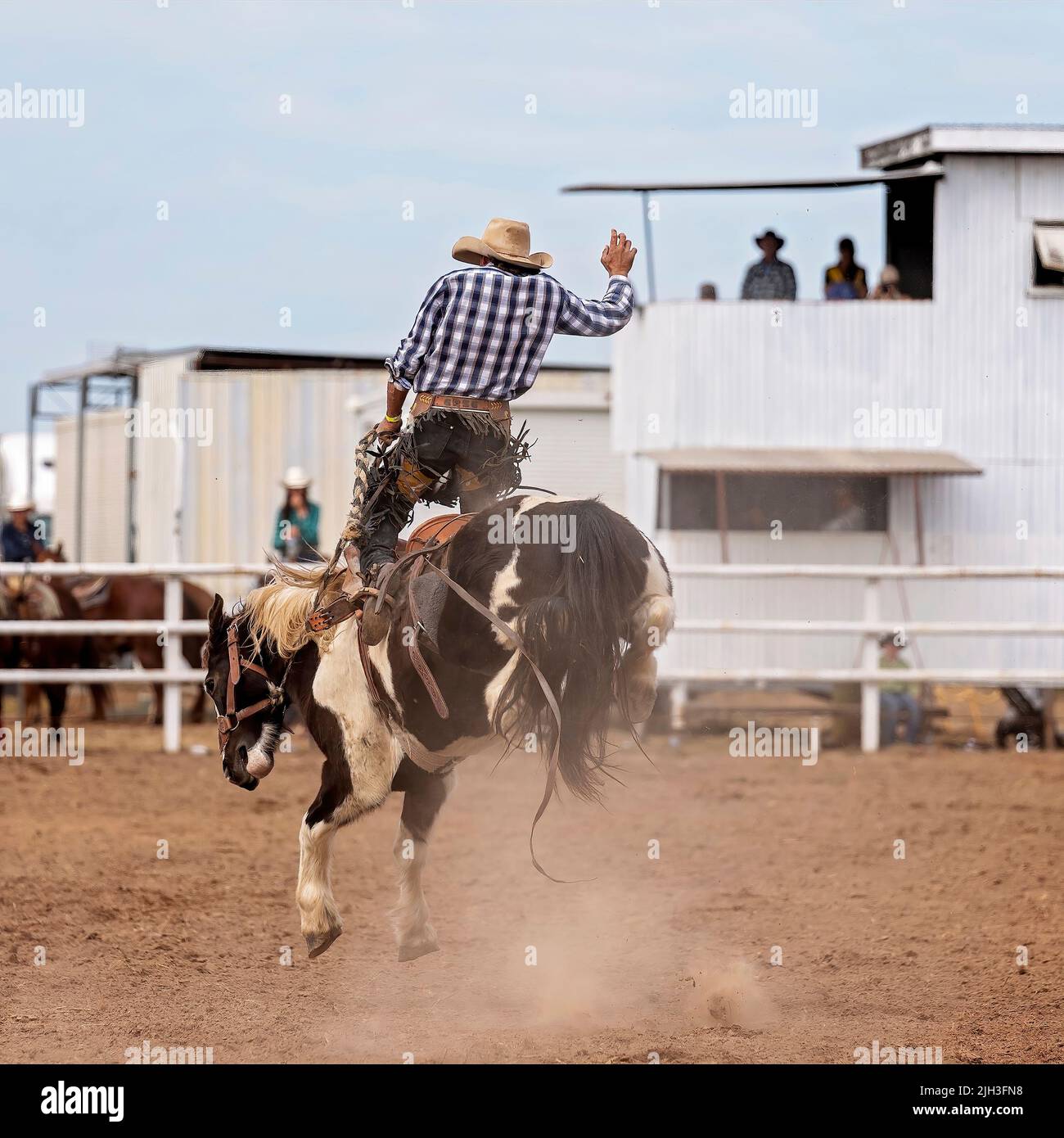 Cowboy riding a bucking bronc at a country rodeo Australia Stock Photo ...