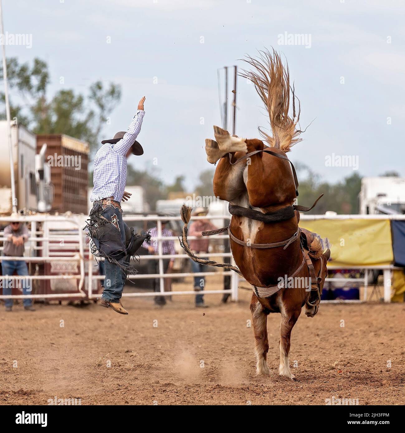Wild bucking bronco horse has thrown off cowboy rider in an event at an ...