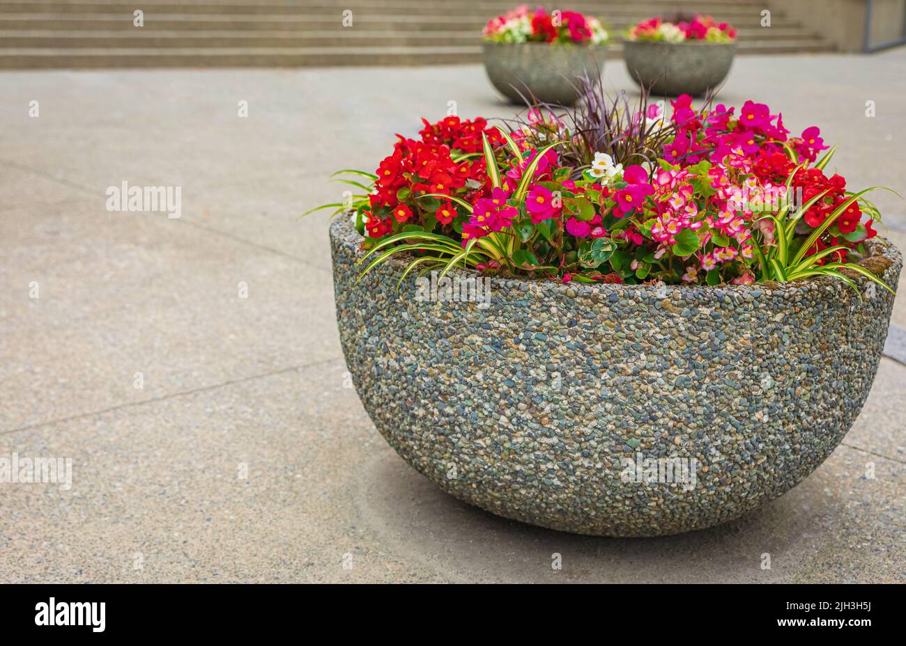 Pot plant courtyard hi-res stock photography and images - Alamy