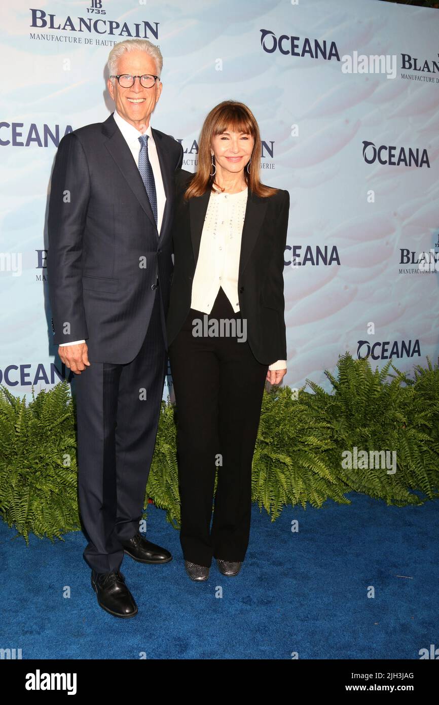 Mary steenburgen 24 red carpet event hi-res stock photography and ...