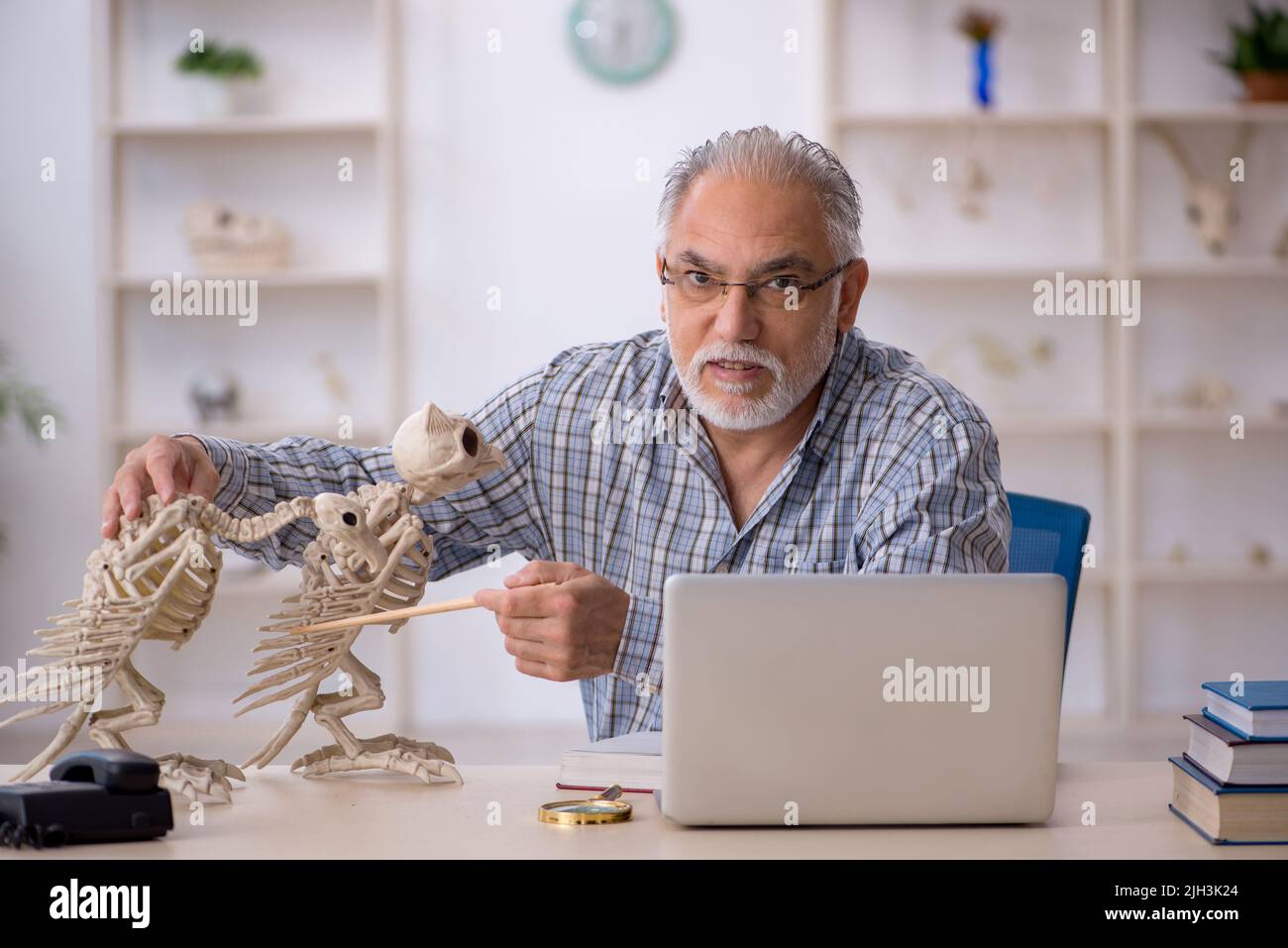 Old paleontologist examining ancient animals at lab Stock Photo - Alamy