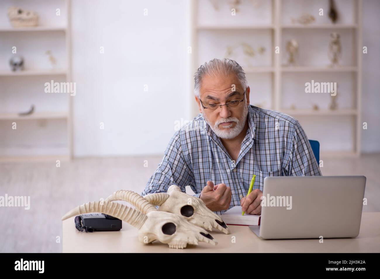 Old paleontologist examining ancient animals at lab Stock Photo - Alamy
