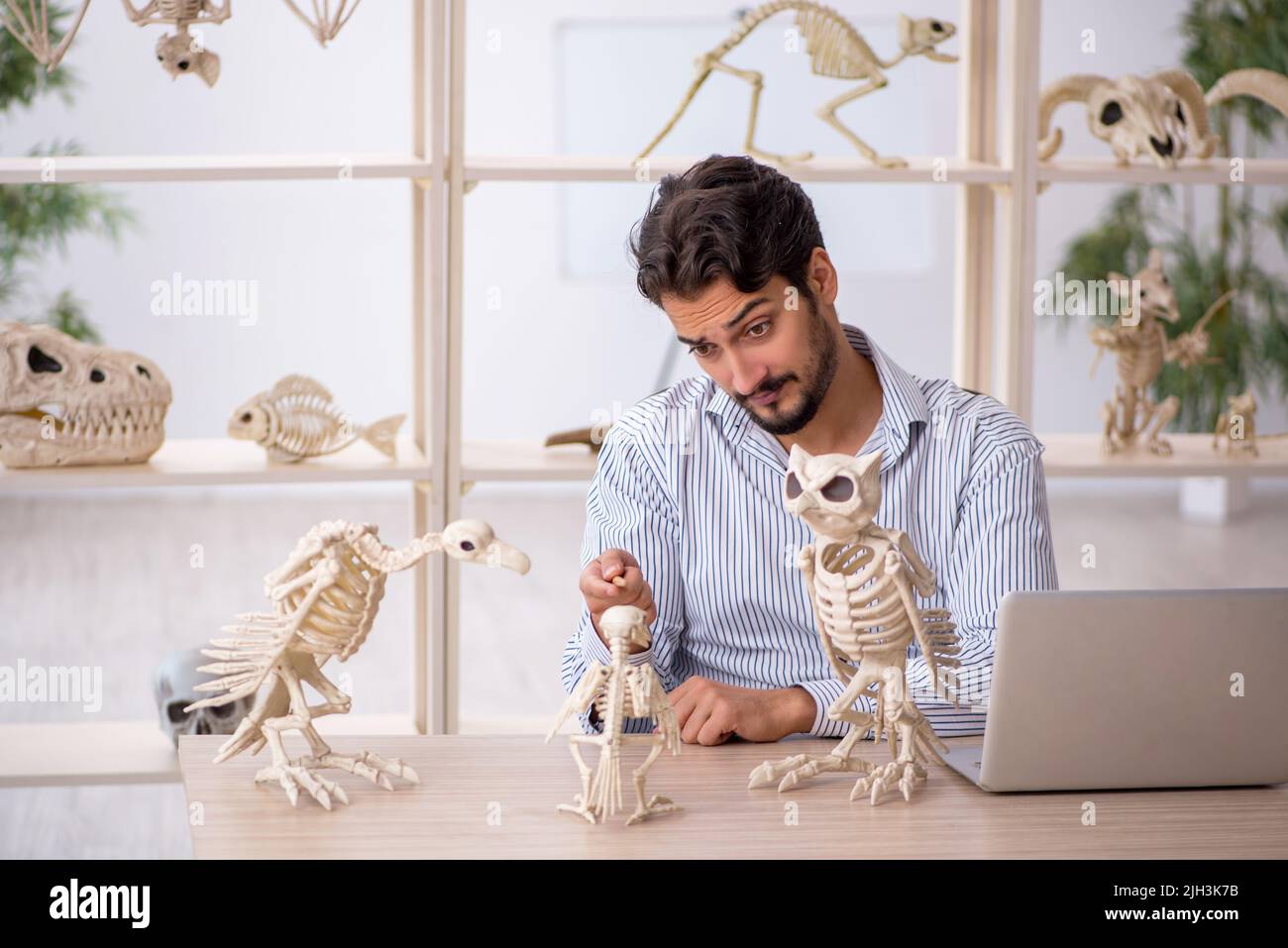 Young paleontologist examining ancient animals at lab Stock Photo - Alamy