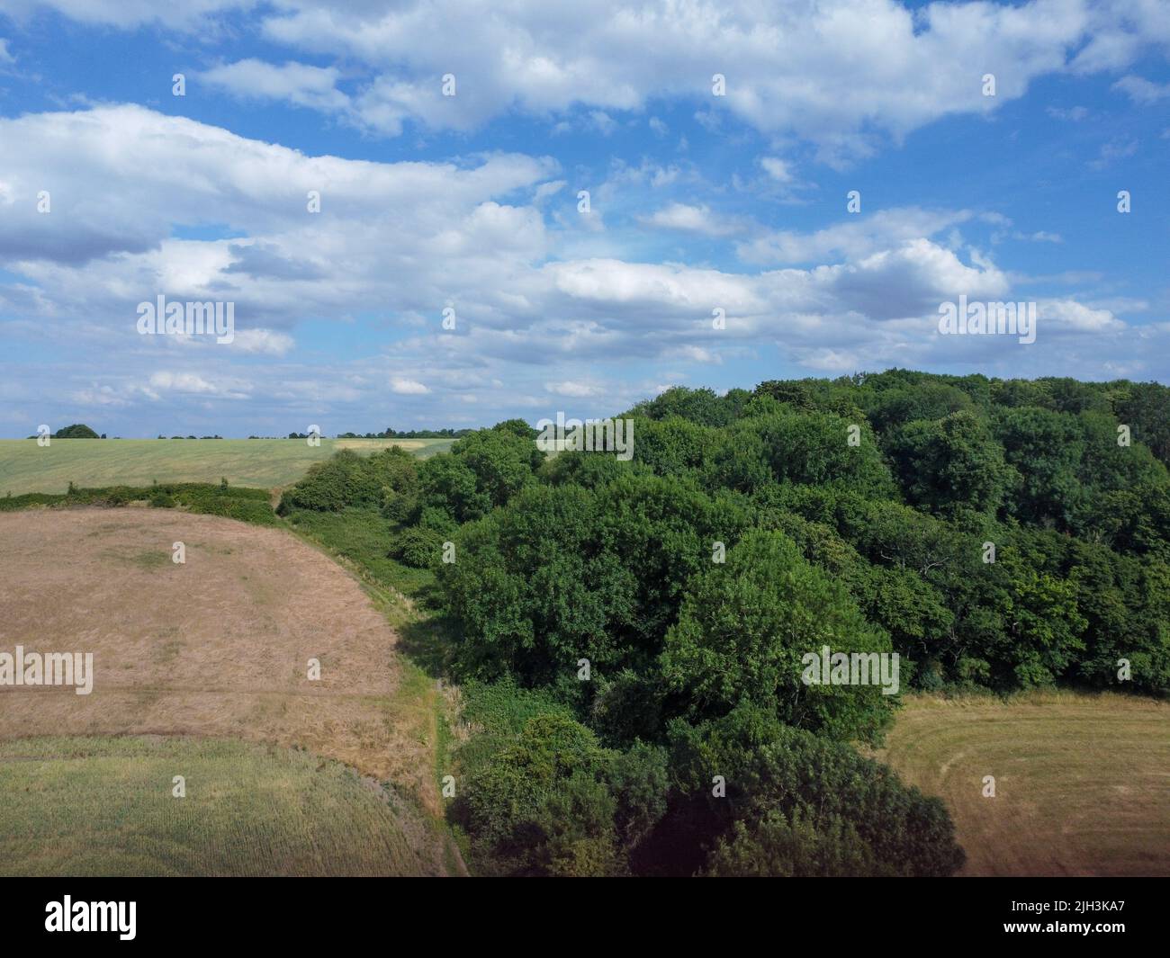 Aerial view of farming fields in the UK Hertfordshire Stock Photo - Alamy