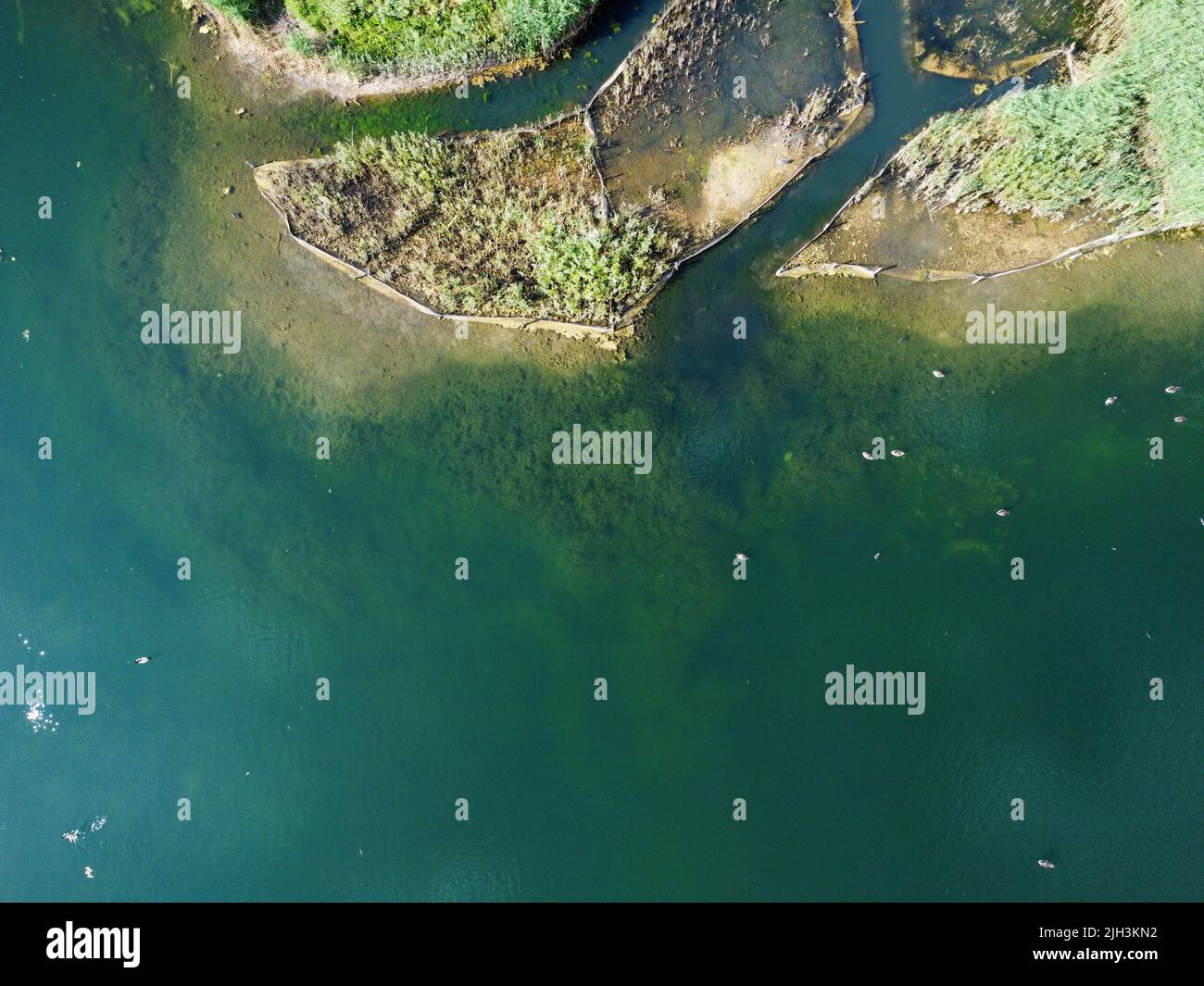 Aerial view forest lake foot hi-res stock photography and images - Alamy