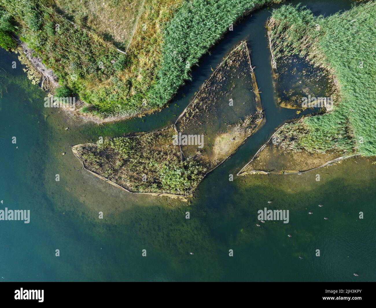 Aerial view of duck hi-res stock photography and images - Alamy