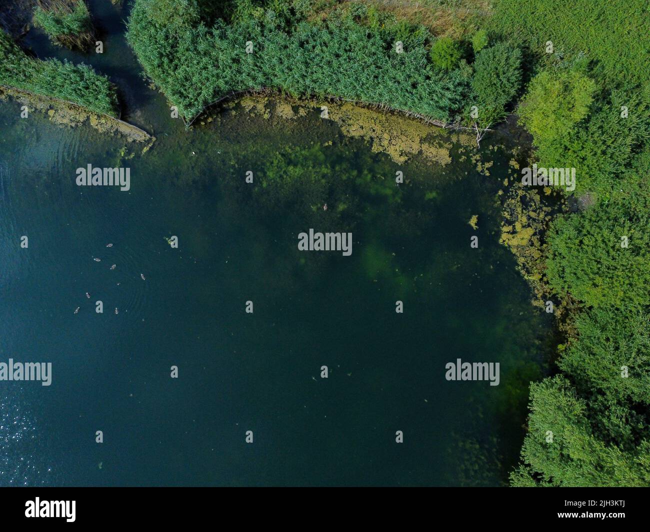 Aerial down view of island on a tranquil clear water lake in ...