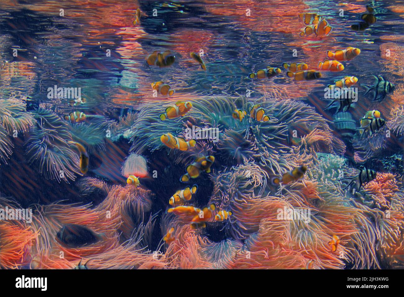 Large aquarium saltwater tank with bright, vibrant colors, Clown Fish ...