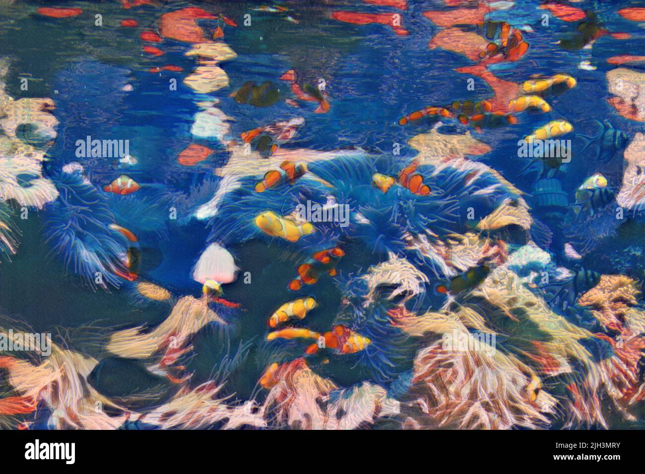 Large aquarium saltwater tank with bright, vibrant colors, Clown Fish ...