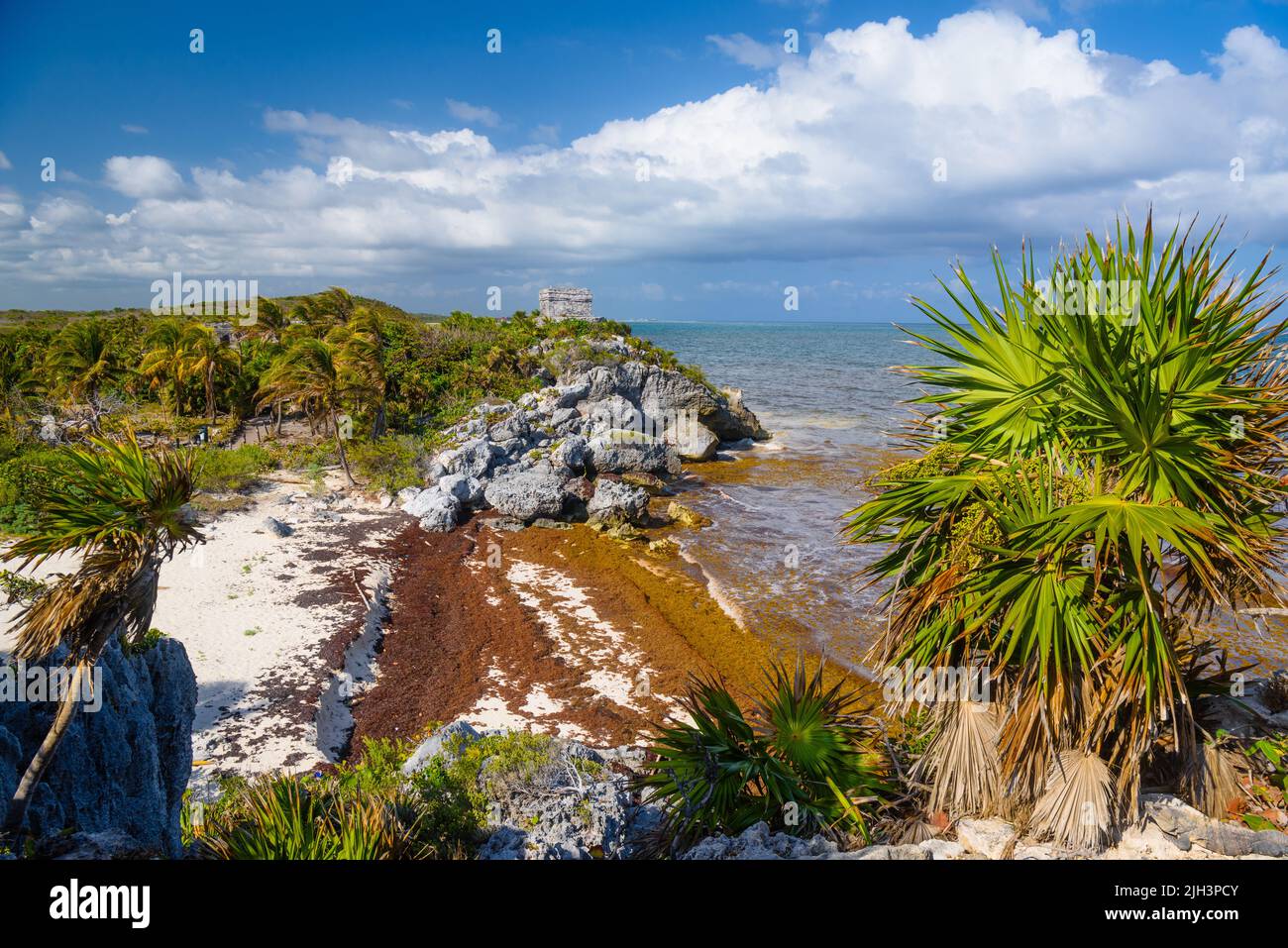 White sand beach with rocks and seaweeds, Mayan Ruins in Tulum, Riviera ...