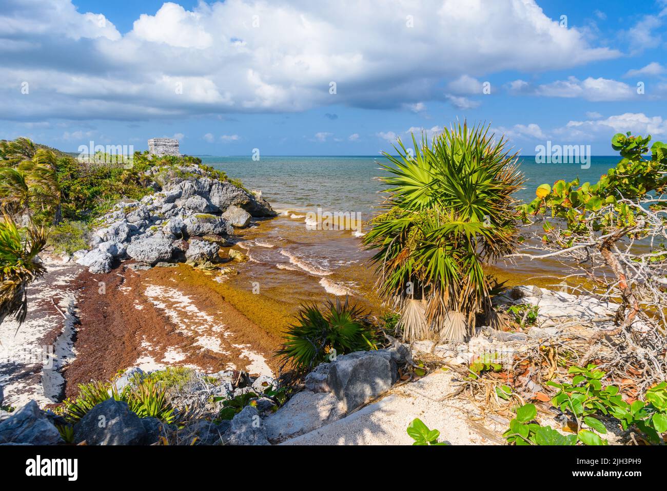 White sand beach with rocks and seaweeds, Mayan Ruins in Tulum, Riviera ...