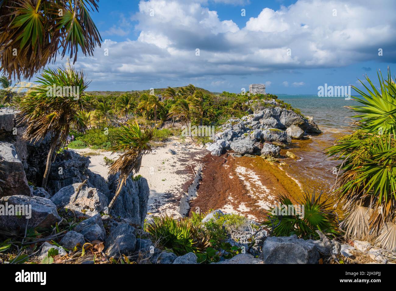 White sand beach with rocks and seaweeds, Mayan Ruins in Tulum, Riviera ...