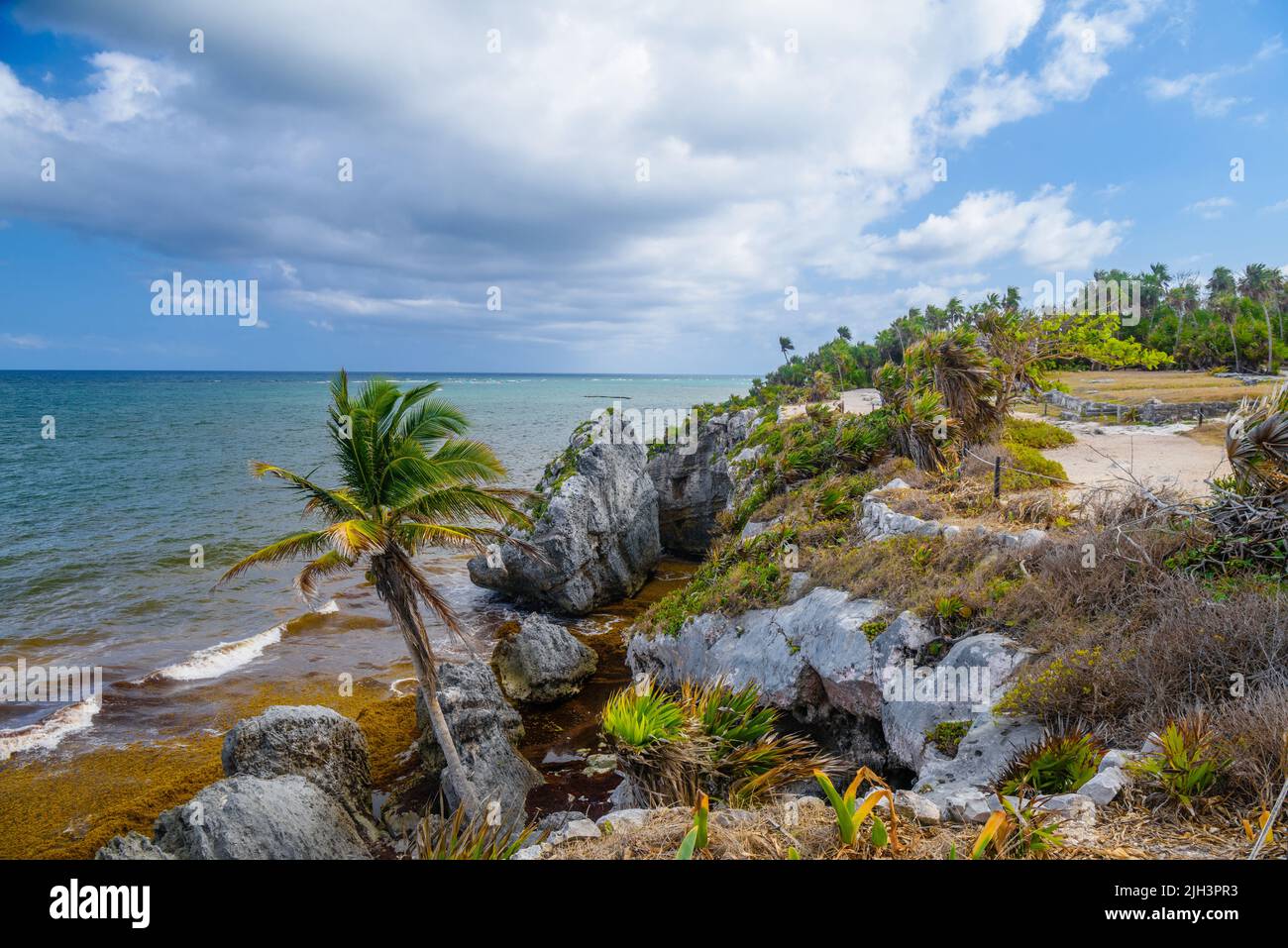 Palms and rocks on the beach, Mayan Ruins in Tulum, Riviera Maya ...