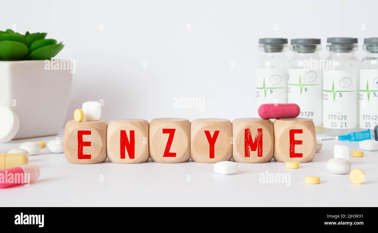 enzyme word written on wooden blocks and stethoscope on light white ...