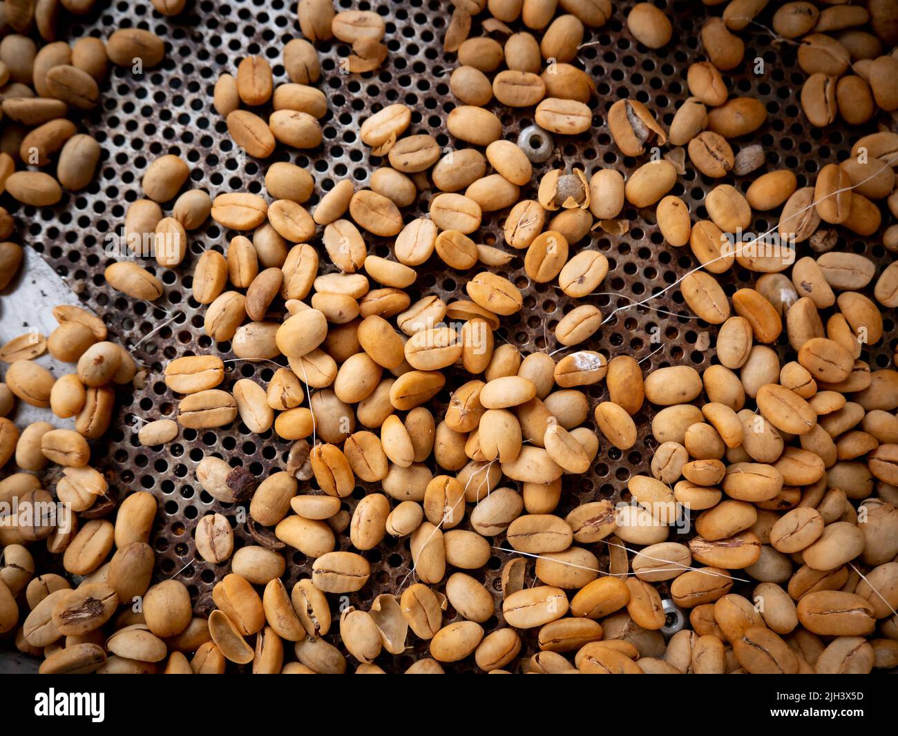 Dried Coffee Beans inside a Coffee Grinder Machine Stock Photo - Alamy