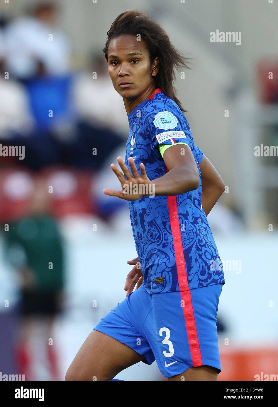 Uk renard hi-res stock photography and images - Alamy