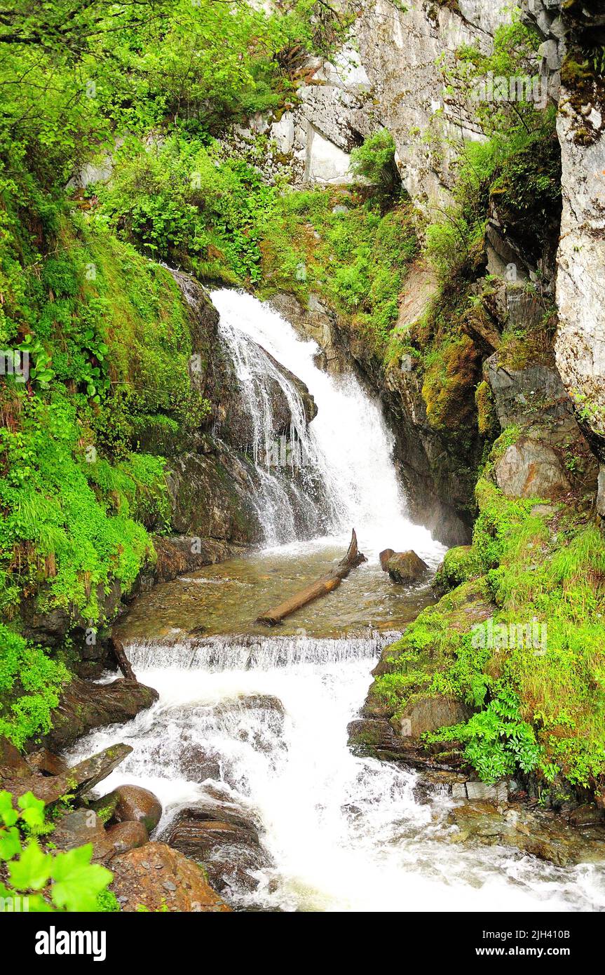 Cascade of a beautiful waterfall on a mountain river surrounded by ...