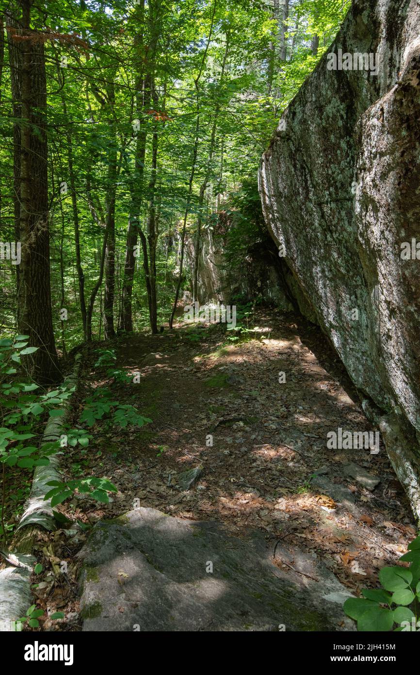 Frost trail hi-res stock photography and images - Alamy