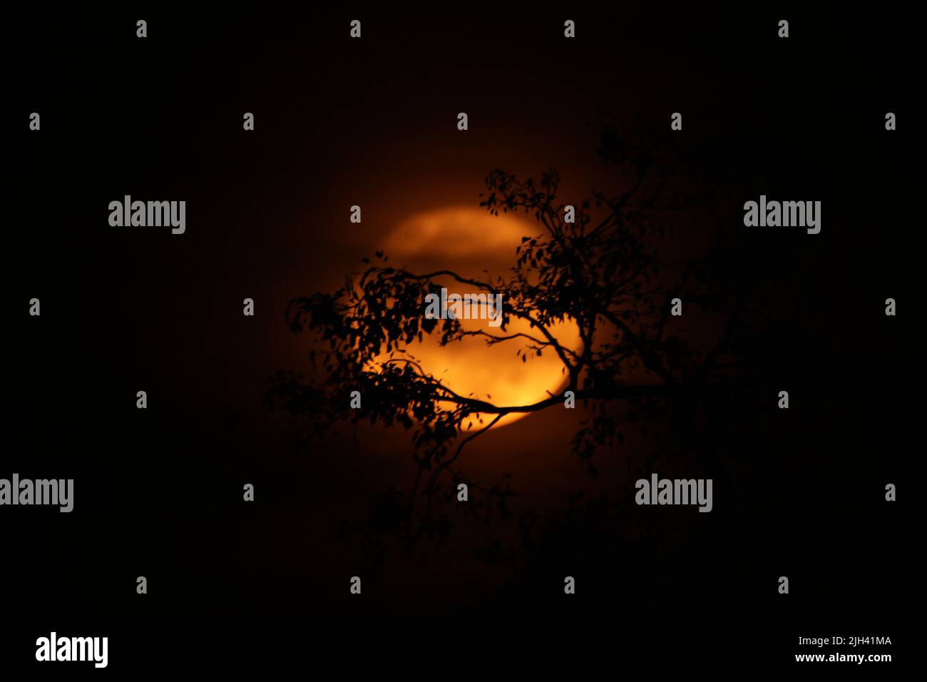 Full moon poya day hi-res stock photography and images - Alamy