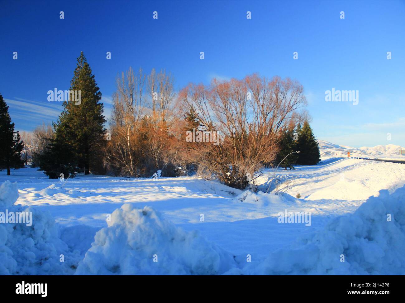 Amazing Winter Around Twizel in New Zealand Stock Photo - Alamy