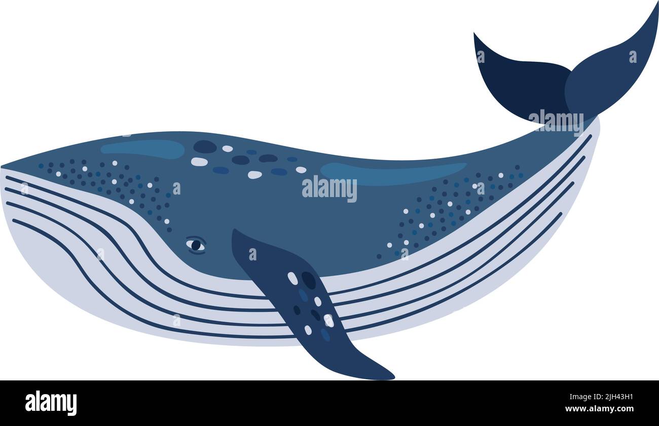 sei whale sealife animal icon Stock Vector Image & Art - Alamy
