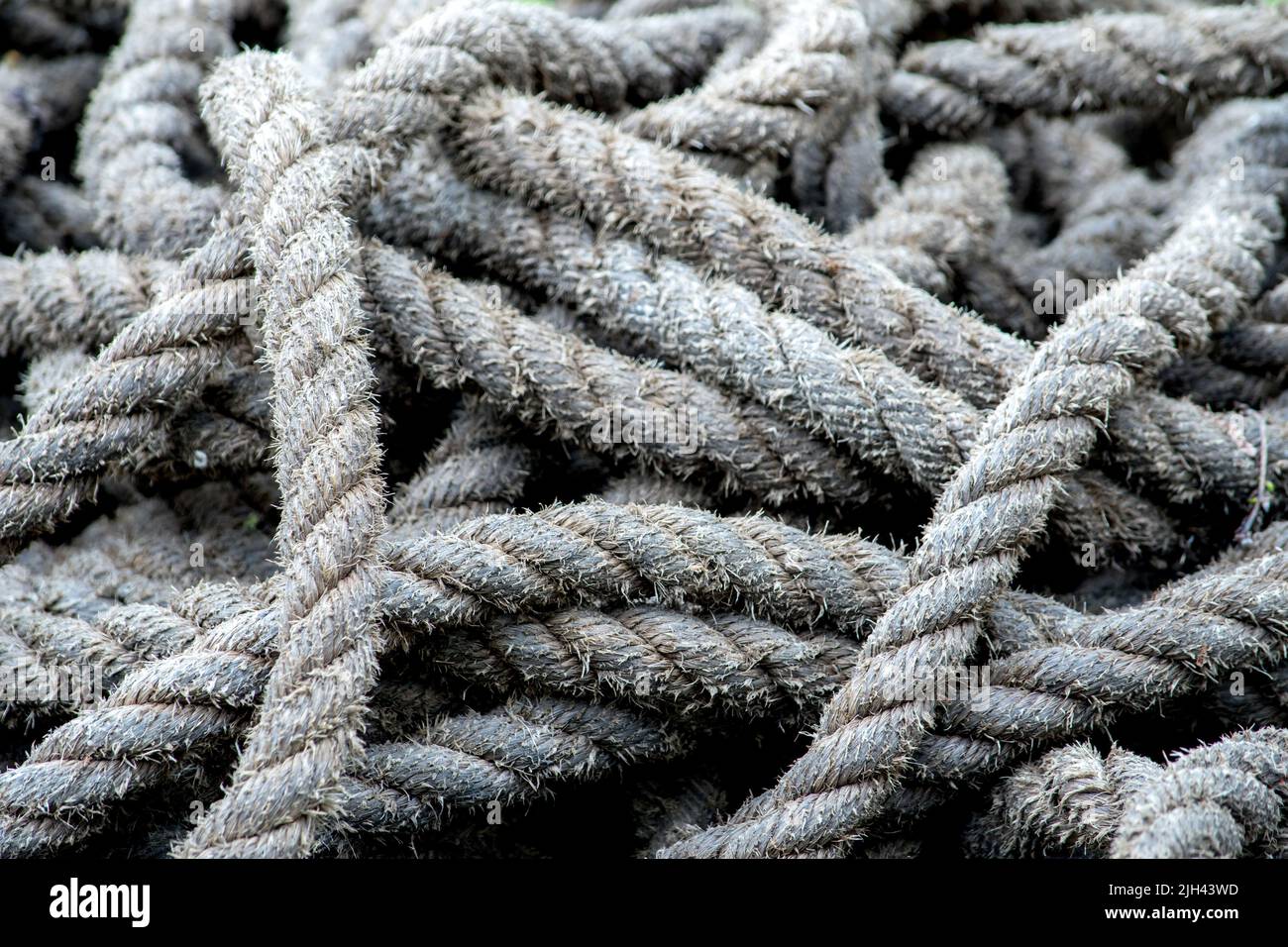 Pile of old rustic rope, weathered and bleached but still in good shape ...