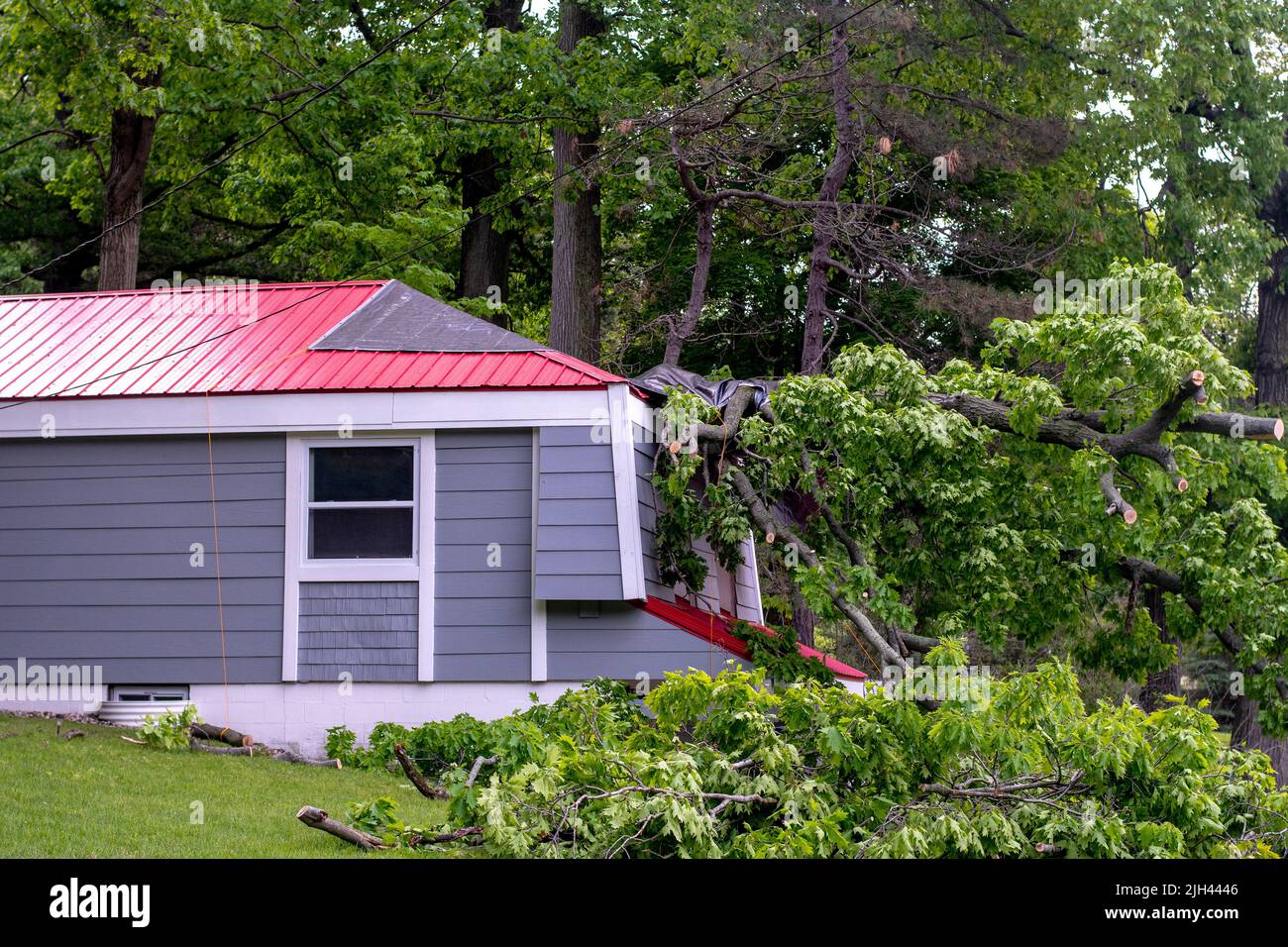 a fallen tree after a wicked storm does damage to this home, but tree ...