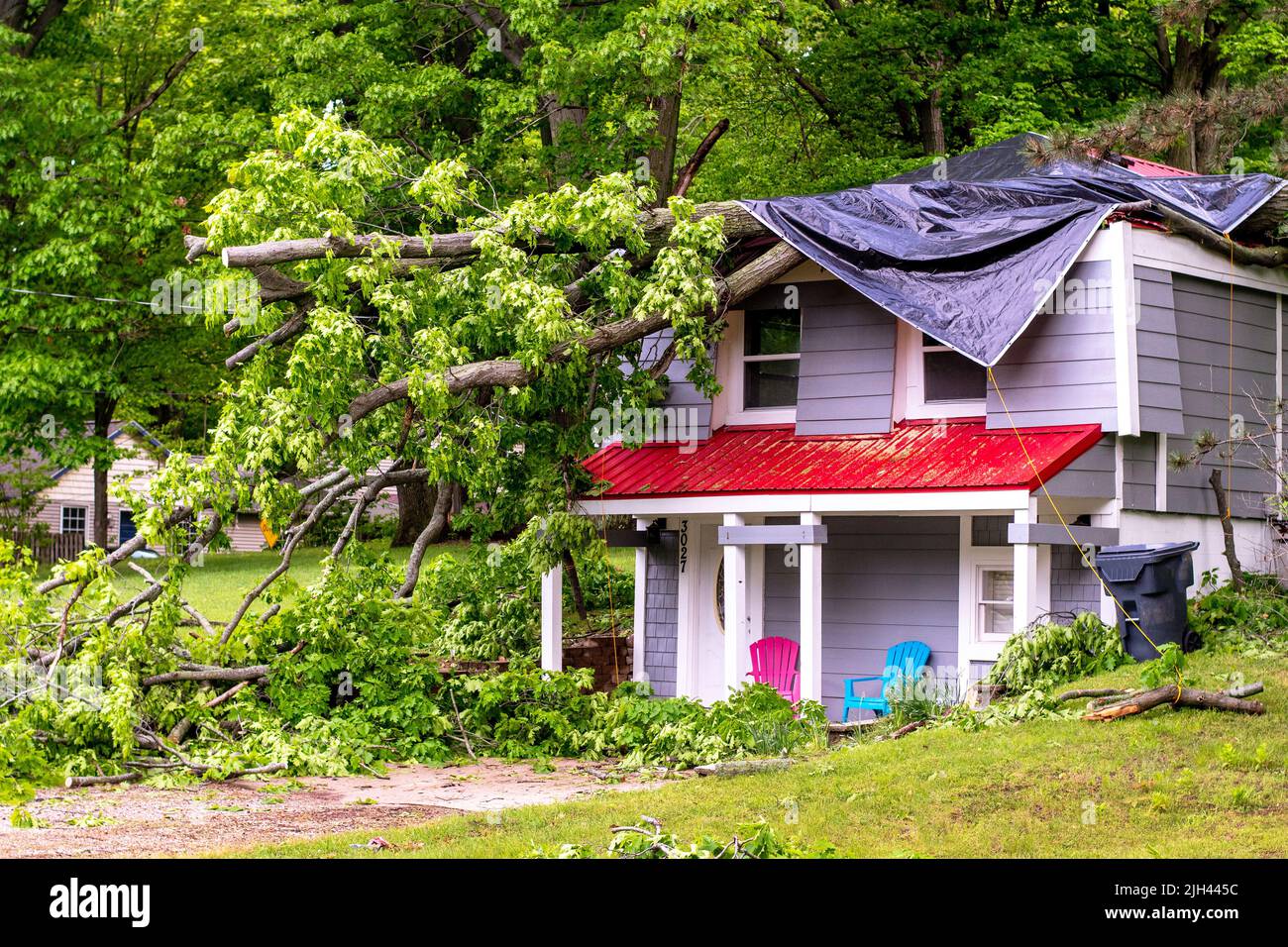 wild storm drops a tree on this small home, damaging the roof and ...