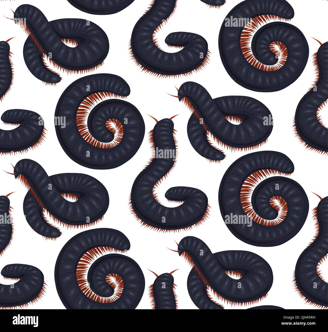 Vector seamless pattern with scary centipedes on white background ...