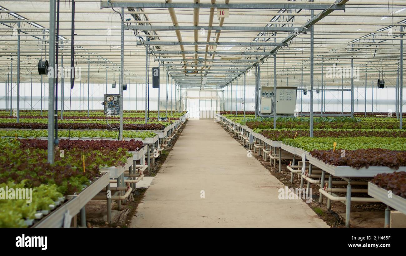 No people in greenhouse with irrigation system and control pannels ...